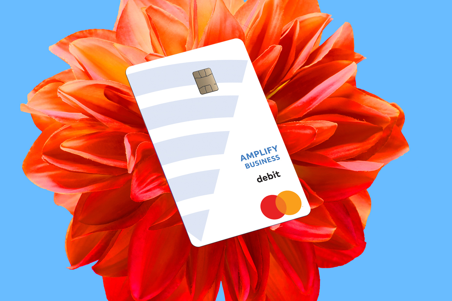 Fee-Free Business Checking | Amplify Credit Union