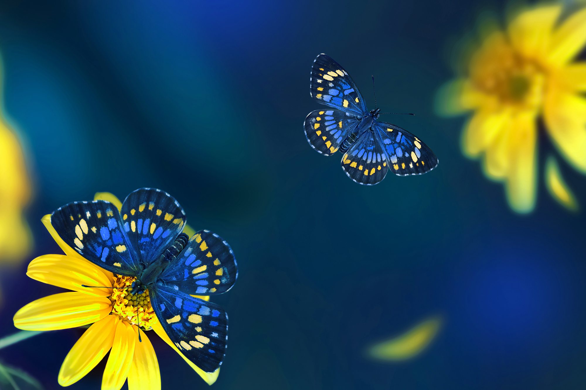 What's the Difference? Cash Out Refinances vs Home Equity Loans ...