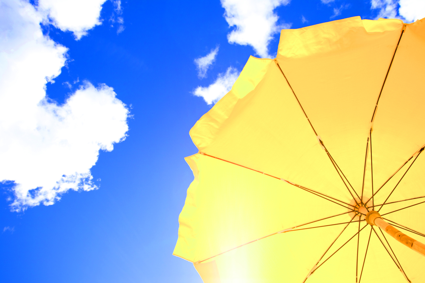 When to Reseed Your Lawn in Texas - Amplify