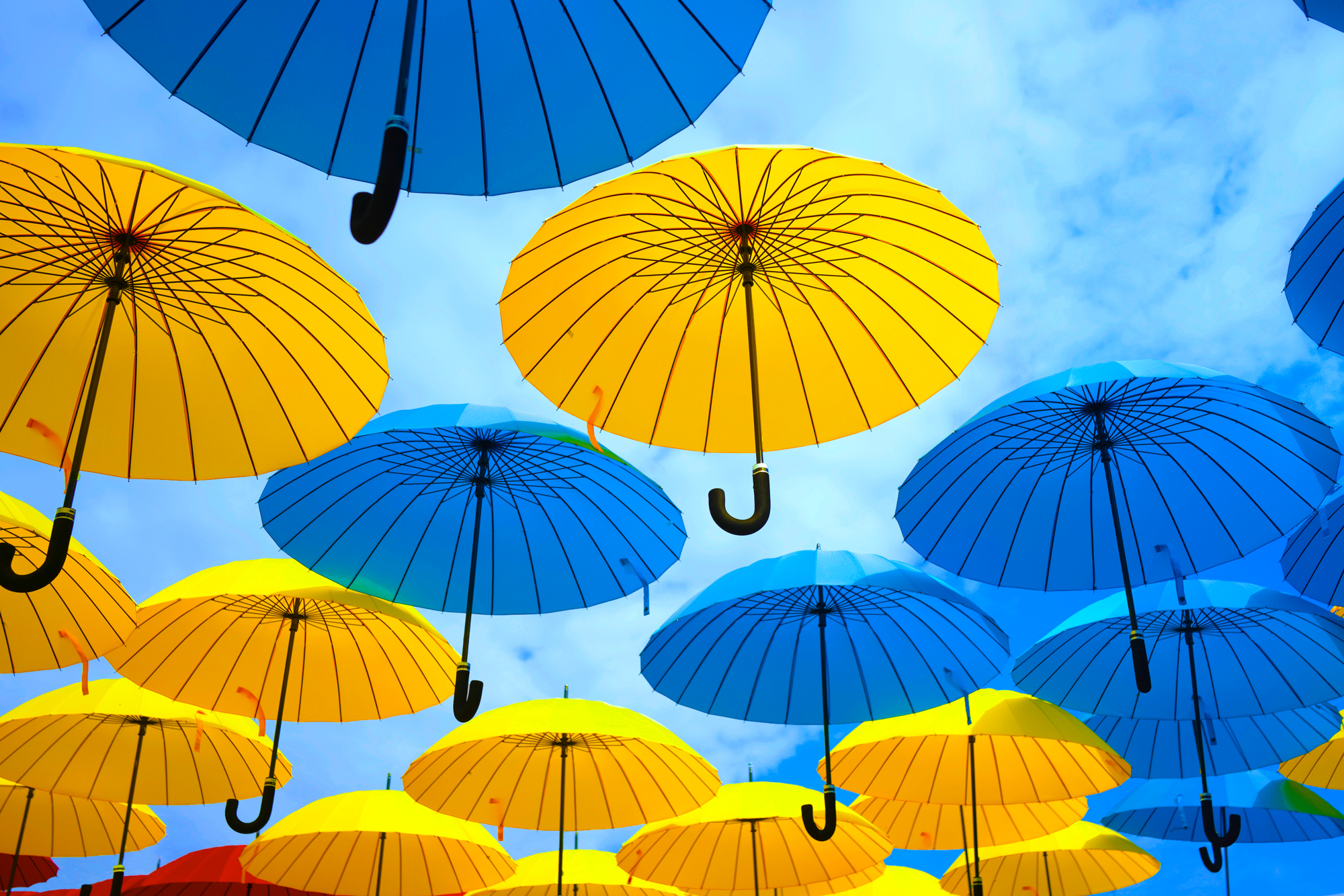 Banking with an ITIN | Amplify Credit Union