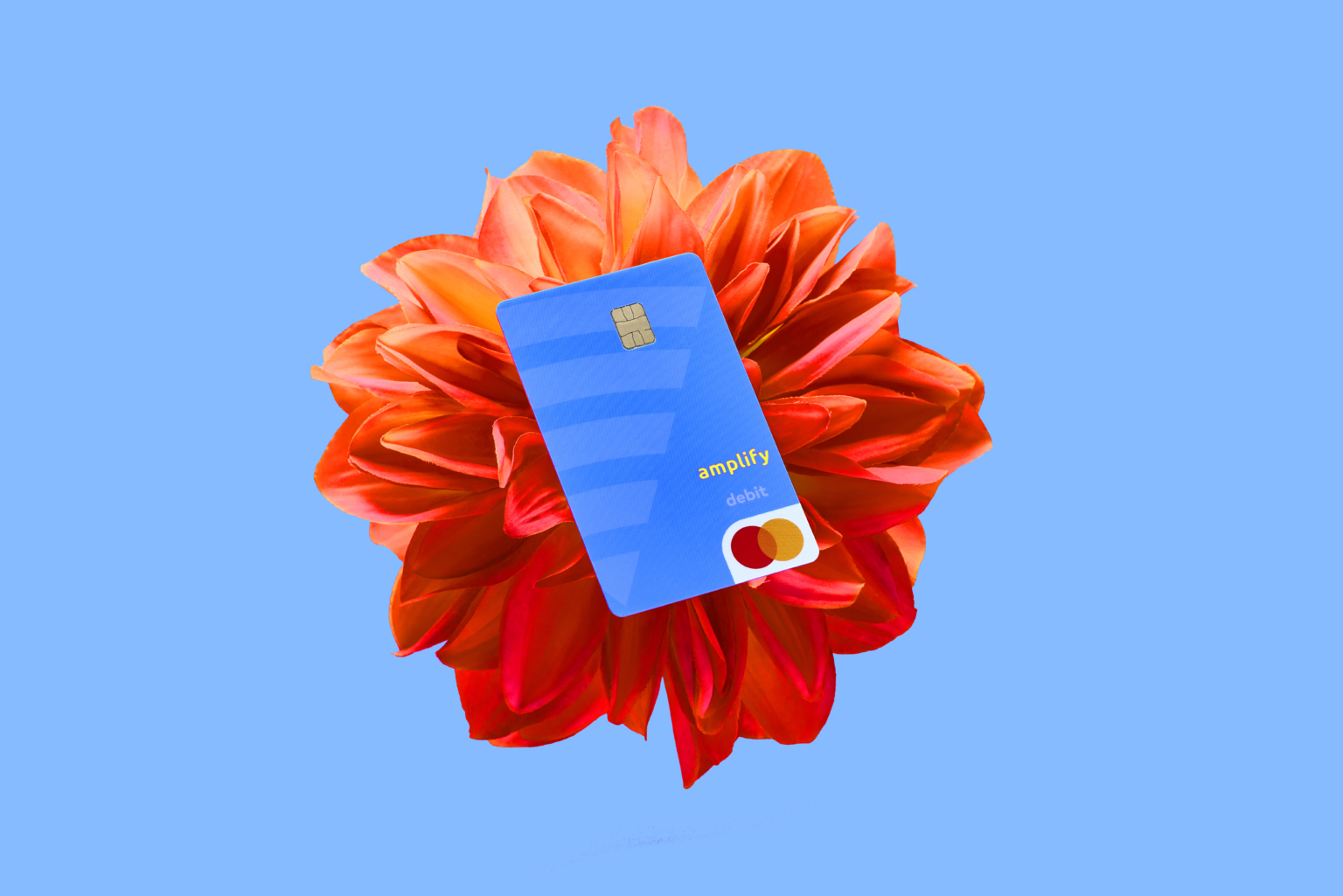 Get Your Fee-Free Debit Card | Amplify Credit Union